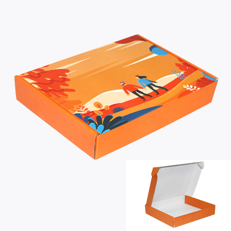 Conventional Color Mailer Box