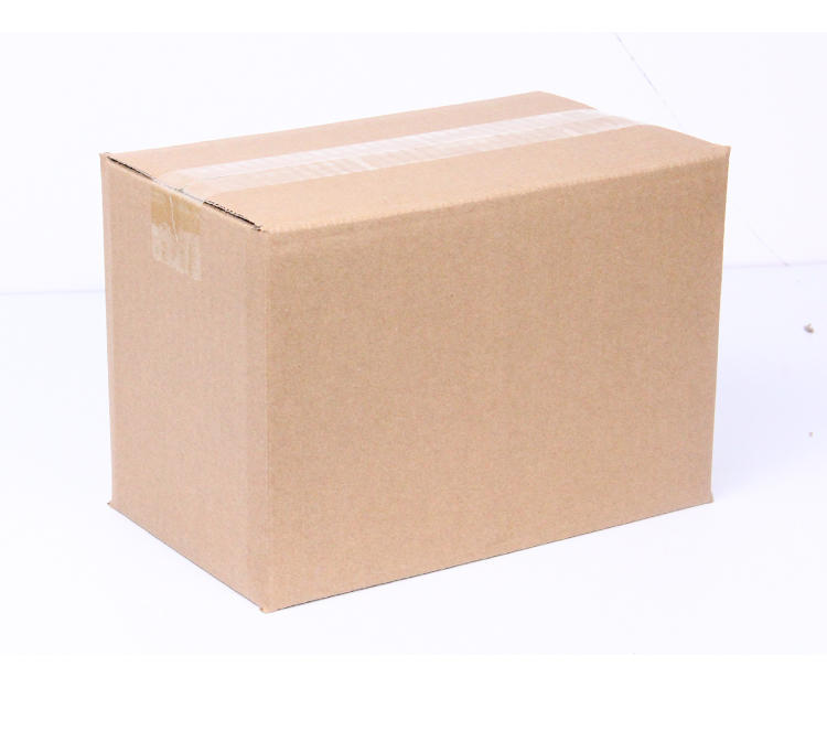 Extra Hard Postal Packaging Carton